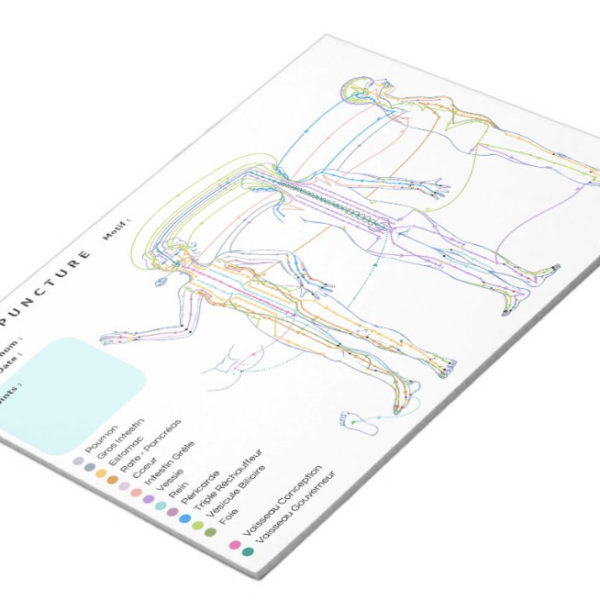 Le méridien du Rein en médecine chinoise : trajet et théorie