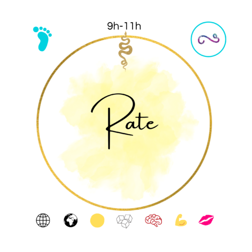 Les 12 méridiens du corps humain en PDF, livre et jeu de cartes