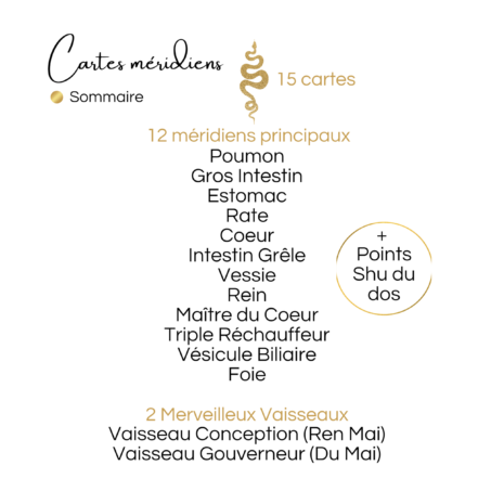 Les 12 méridiens du corps humain en PDF, livre et jeu de cartes