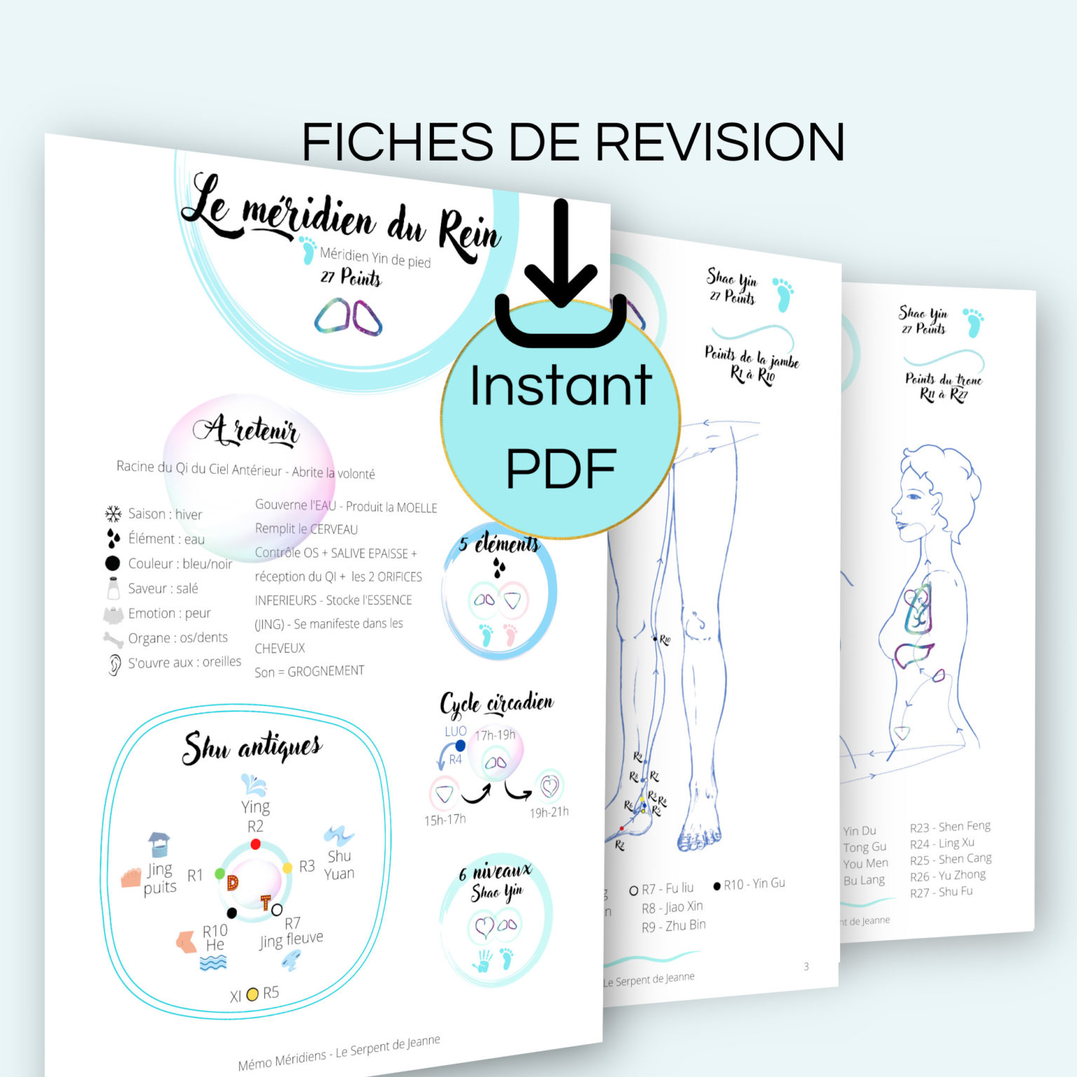 Le méridien du Rein en médecine chinoise : trajet et théorie