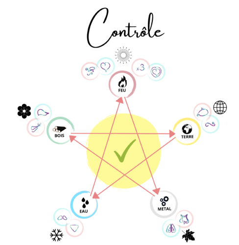 Les 5 éléments en Médecine Traditionnelle Chinoise – Le Serpent de Jeanne