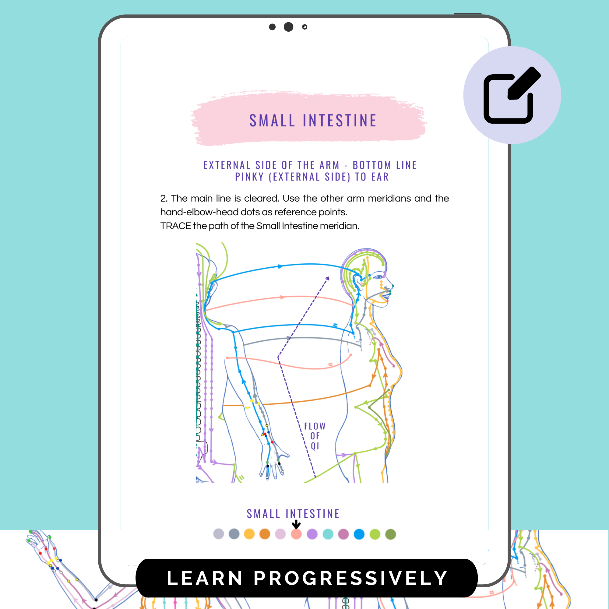 Meridians of the body Activity Book : learn meridians chart with fun ...
