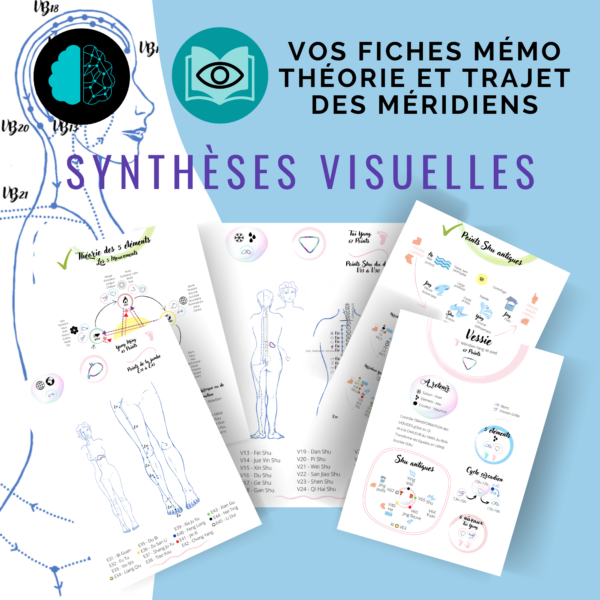 Carte des Méridiens : le Mémo, livre de Médecine Chinoise