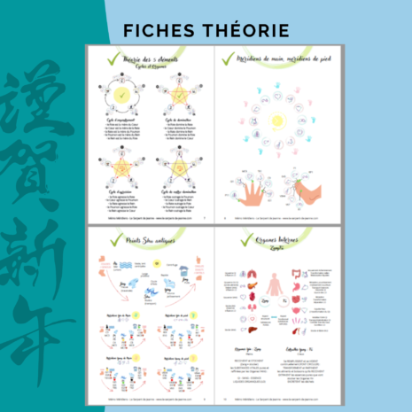 Carte des Méridiens : le Mémo, livre de Médecine Chinoise